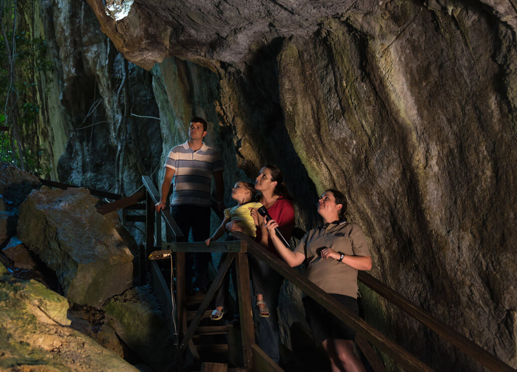 Enjoy a personal, exclusive tour of the Capricorn Caves | Capricorn ...