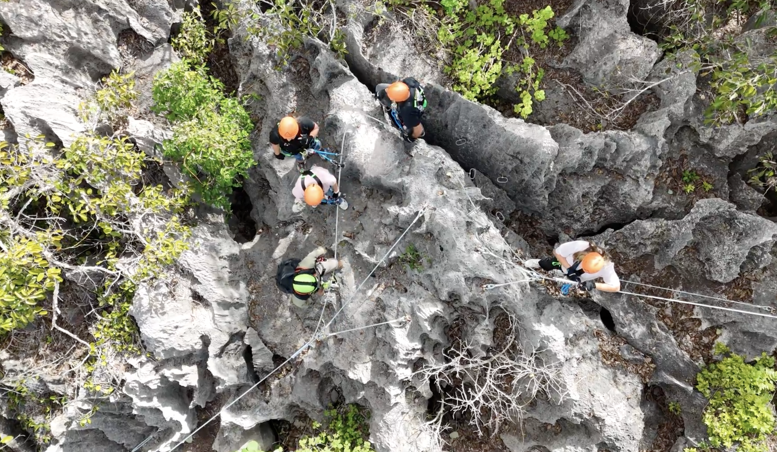 New ‘Karst Walk’ Adventure Unveiled at Capricorn Caves - Capricorn ...